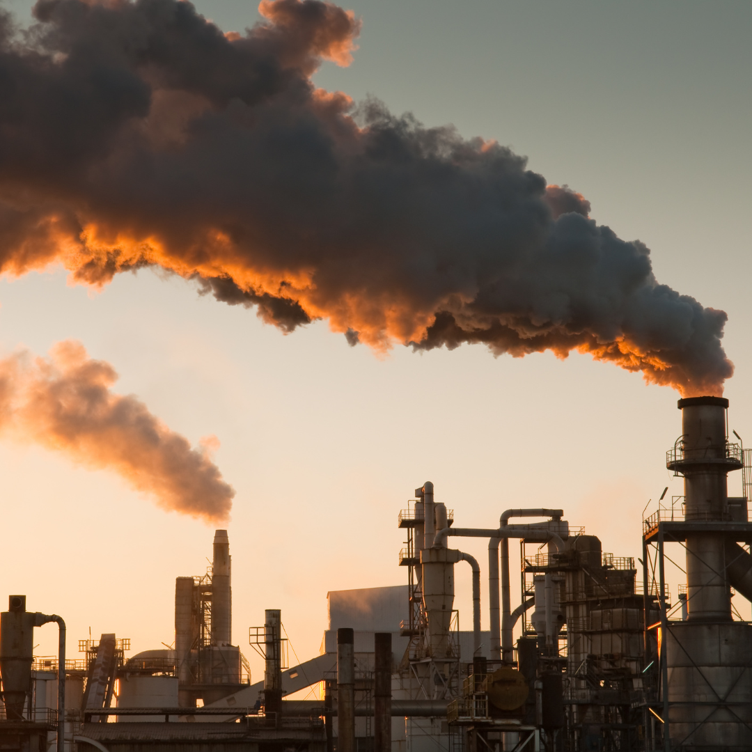 Toxin-Toxin, Bye-Bye